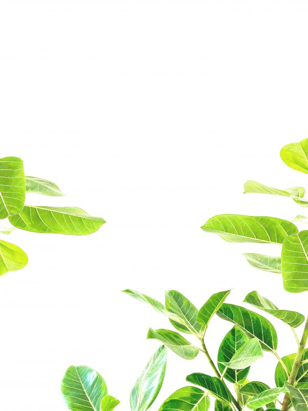 josh-calabrese-XXpbdU_31Sg-unsplash – 悅榕汽車旅館